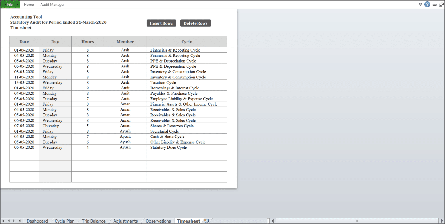 Audit Management Tool | AccountingTool