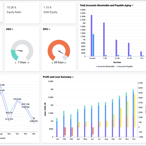 MIS Reporting | Dashboard | Analytics | AccountingTool